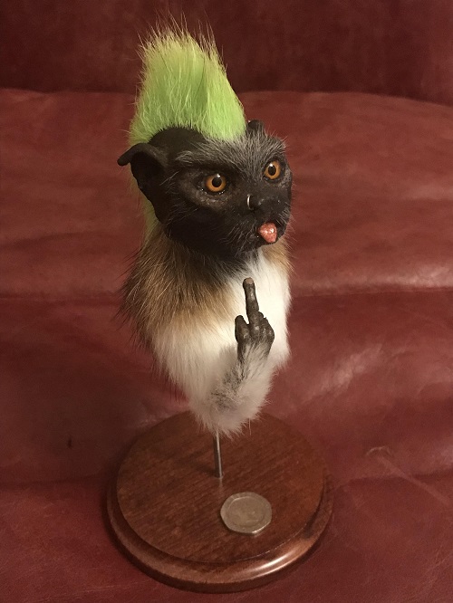 Interview 47. – Maria Cork – Words on Wonder